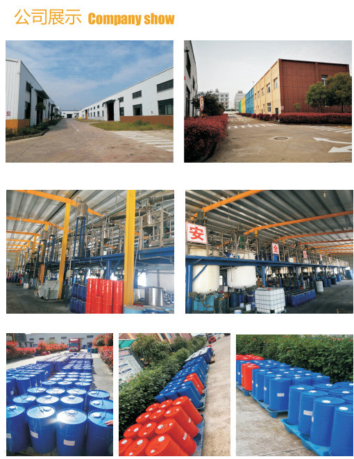 Solvent Borne Polymer Wetting Agent Dispersing Powder For Coatings